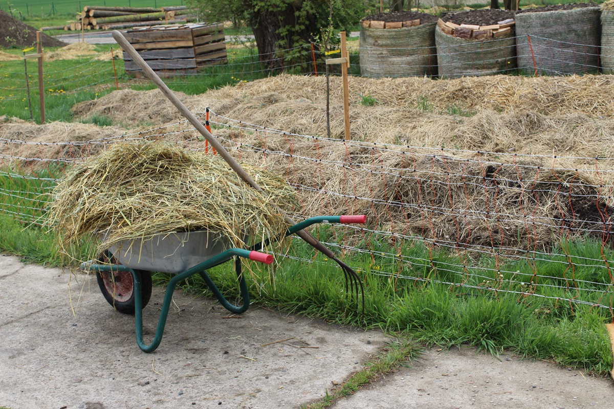 Dividing hay around trees and on the hill beds – Beautiful Chaos